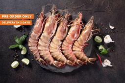 Buy Sea Tiger Prawns Online - Cambay Tiger