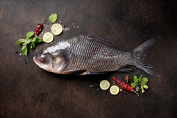 Buy Catla Fish Online - Cambay Tiger