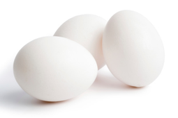 Buy Classic White Eggs Online - Cambay Tiger