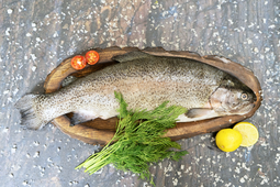 Buy Fresh Himalayan Trout Online - Cambay Tiger