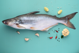 Buy Fresh Indian Basa Online - Cambay Tiger