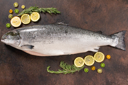 Buy Norwegian Salmon Fish Online - Cambay Tiger