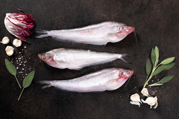 Buy Pabda Fish Online - Cambay Tiger