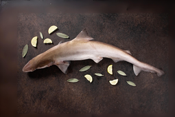 Buy Mushi Fish Online - Cambay Tiger