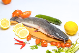 Buy Shingada Fish Online - Cambay Tiger