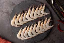 Buy Fresh Small Prawns Online - Cambay Tiger