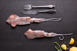 Buy Kanava Fish Online - Cambay Tiger