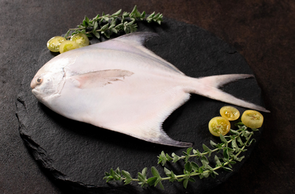 Pomfret Fish In London